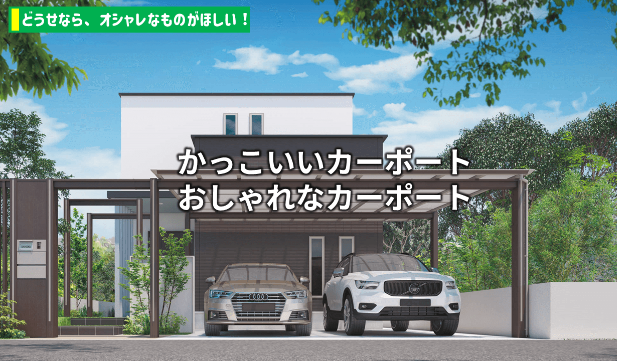 20220922 (4)｜庭ファン