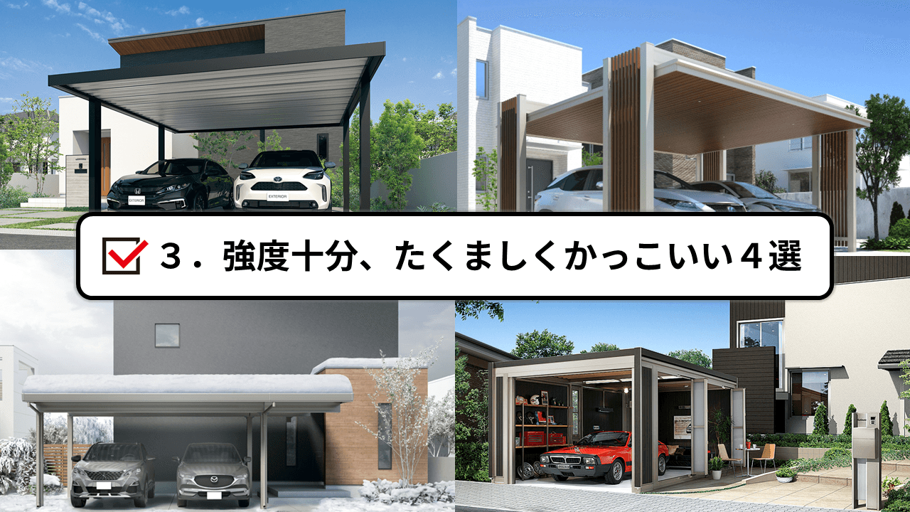 20220922 (43)｜庭ファン